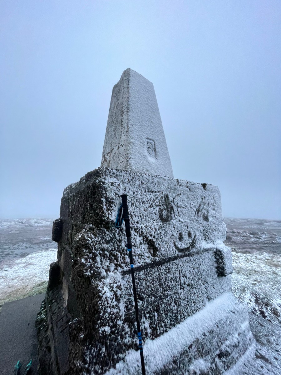 Cheviot Goat – Run With Dai
